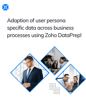 Implementation and usage of user persona data across business processes ...